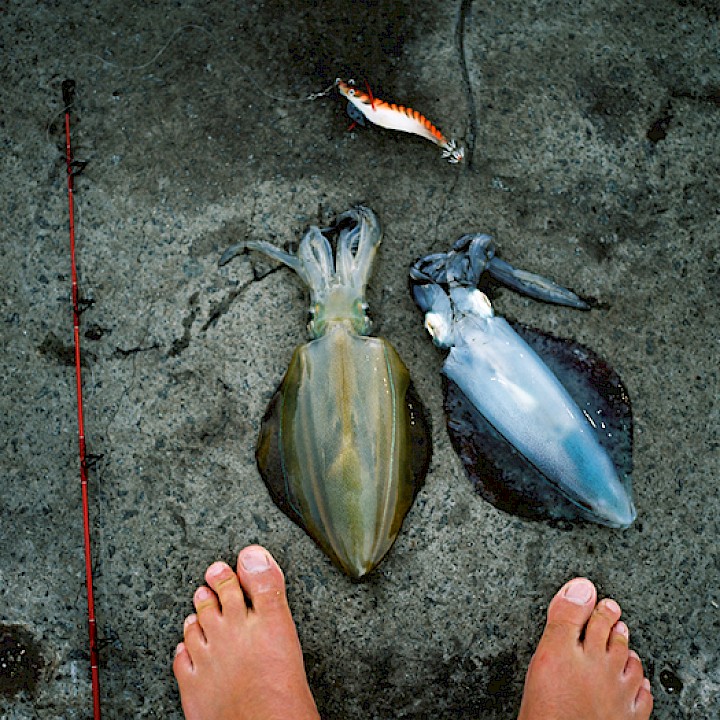 Horton-Stephens - Interview with James Bowden