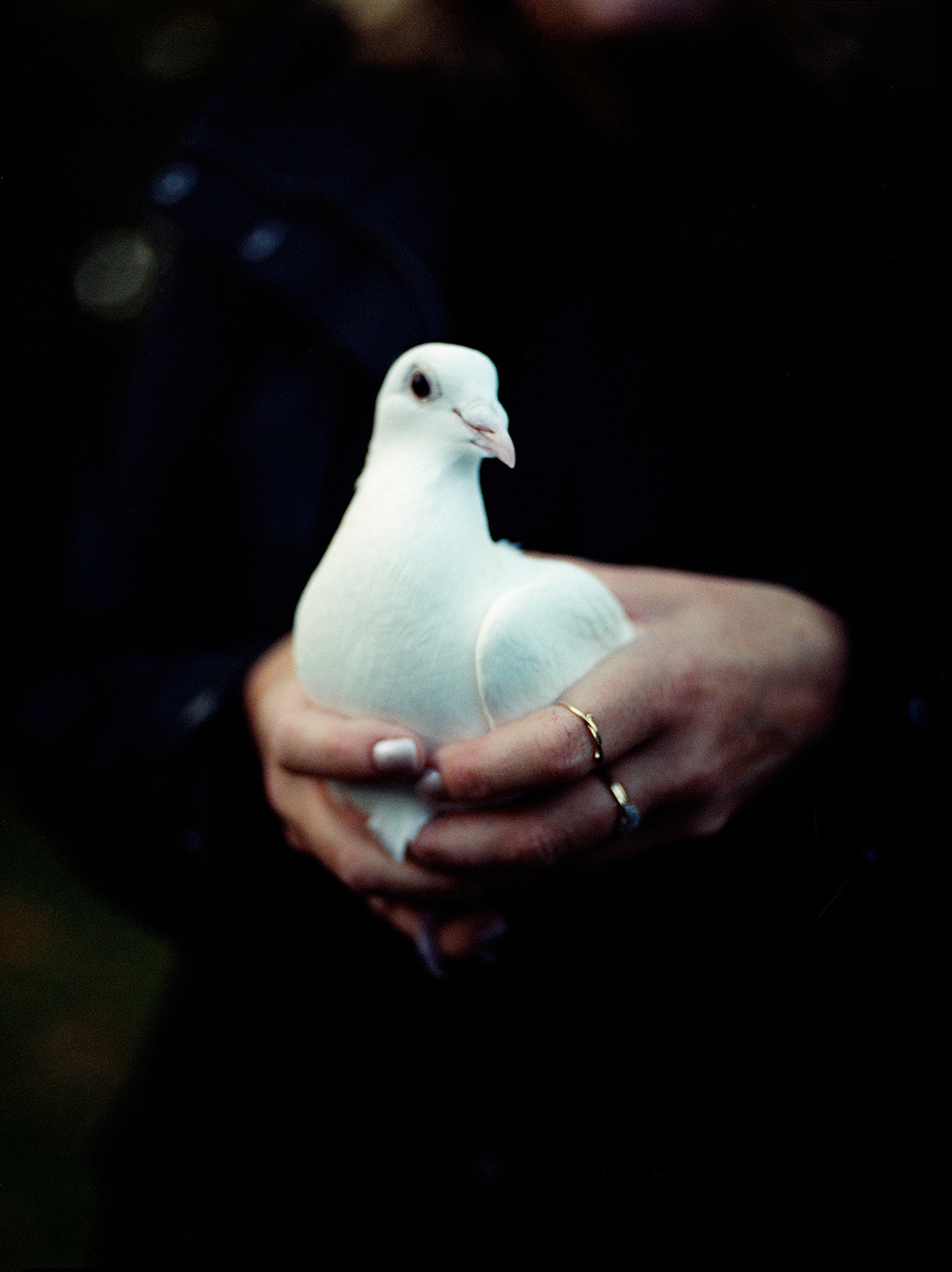 Horton-Stephens - Last Offices